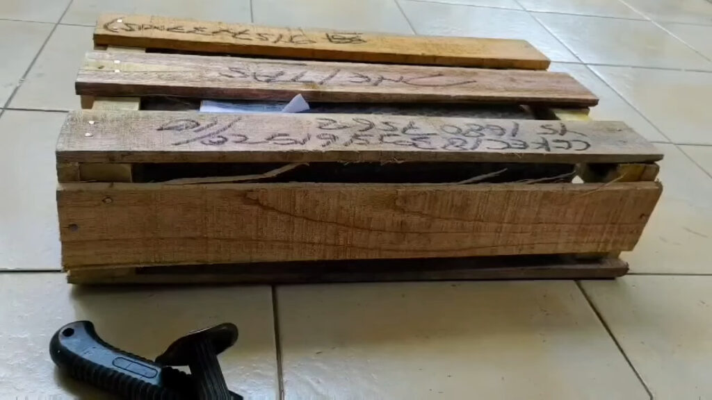 Biaya Packing Kayu JNE: Ketentuan, Harga & Asuransi [Lengkap]