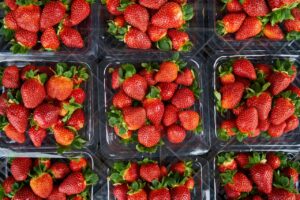 6 Cara Packing Buah untuk Dikirim dengan Aman dan Tahan Lama