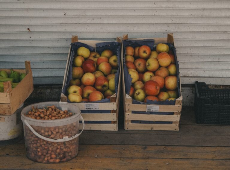 6 Cara Packing Buah untuk Dikirim dengan Aman dan Tahan Lama