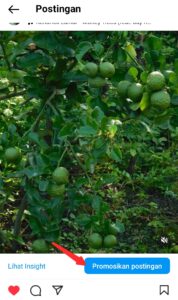 Cara Iklan di Instagram Ads dengan Mudah [Panduan Lengkap]