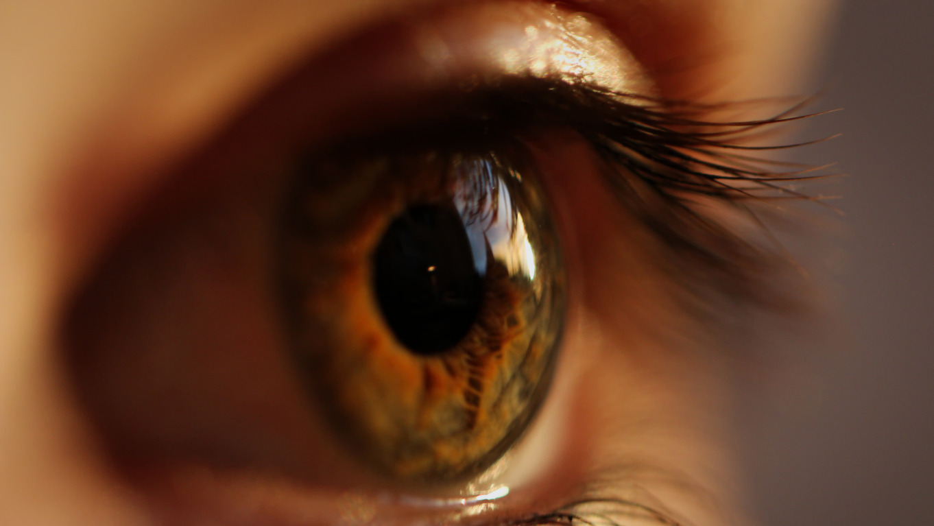 Wajib, Inilah 7 Cara Menjaga Kesehatan Mata bagi Para Pengguna Komputer ...